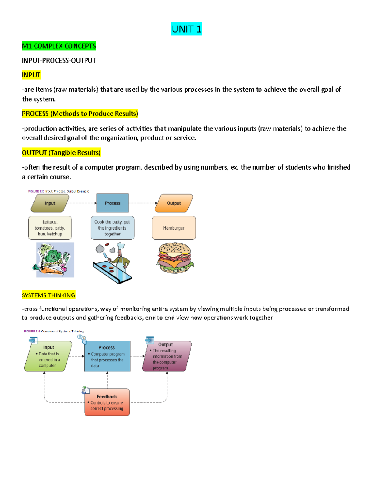 UNIT1 cis reviewer - UNIT 1 M1 COMPLEX CONCEPTS INPUT-PROCESS-OUTPUT ...
