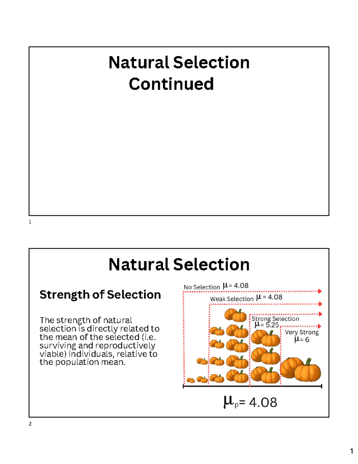 Lecture 3 - Natural Selection Continued Natural Selection Strength of ...