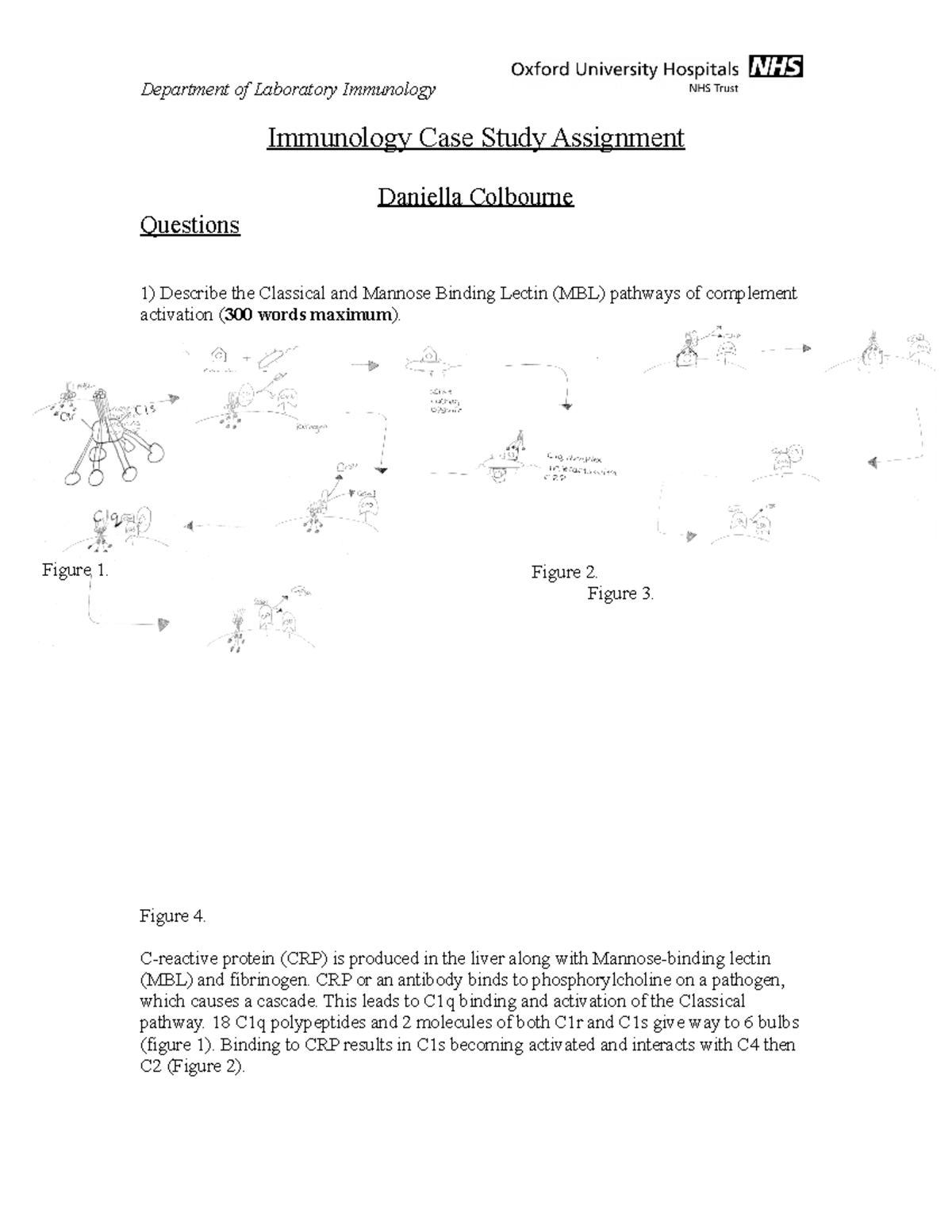 Coursework assignment - Immunology 2019 - Department of Laboratory ...