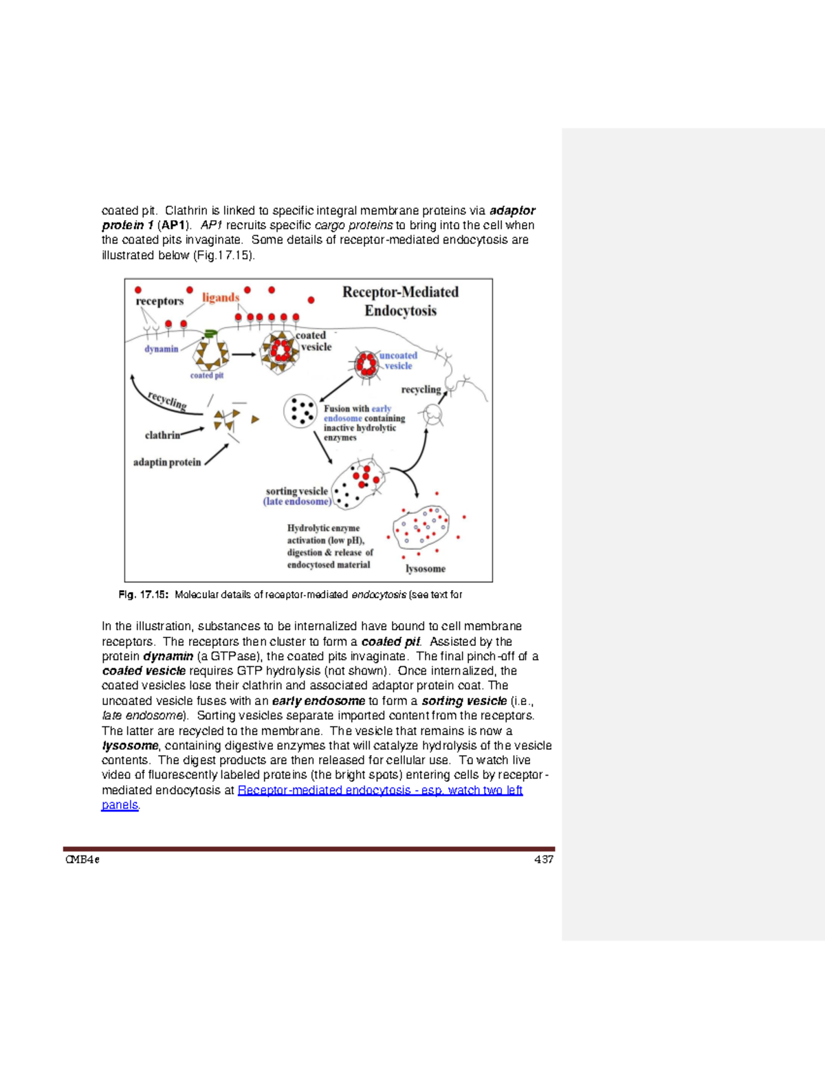 Rahasia Polinasi Rahang - coated pit. Clathrin is linked to specific ...