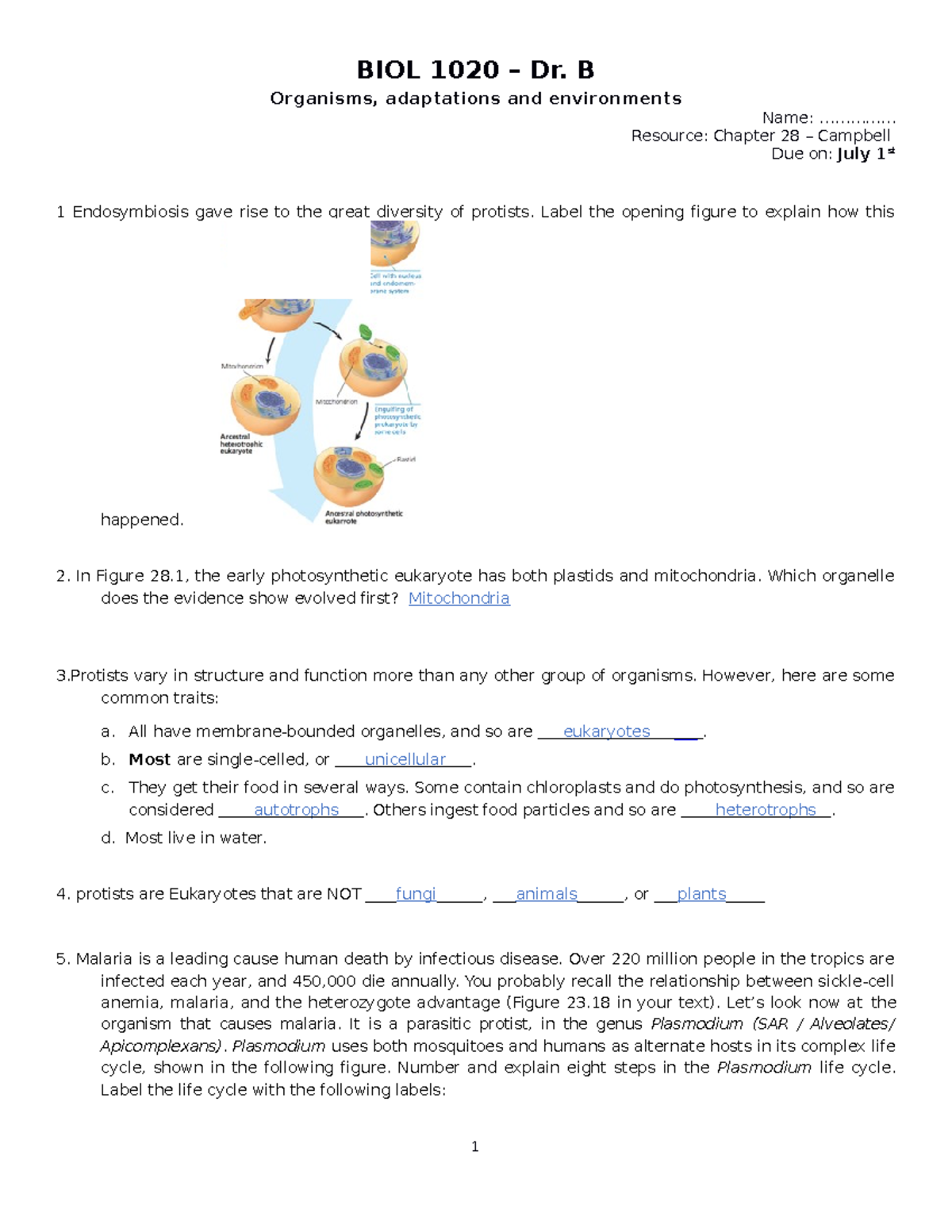 10. Homework Protists CH 28 - Organisms, adaptations and environments ...