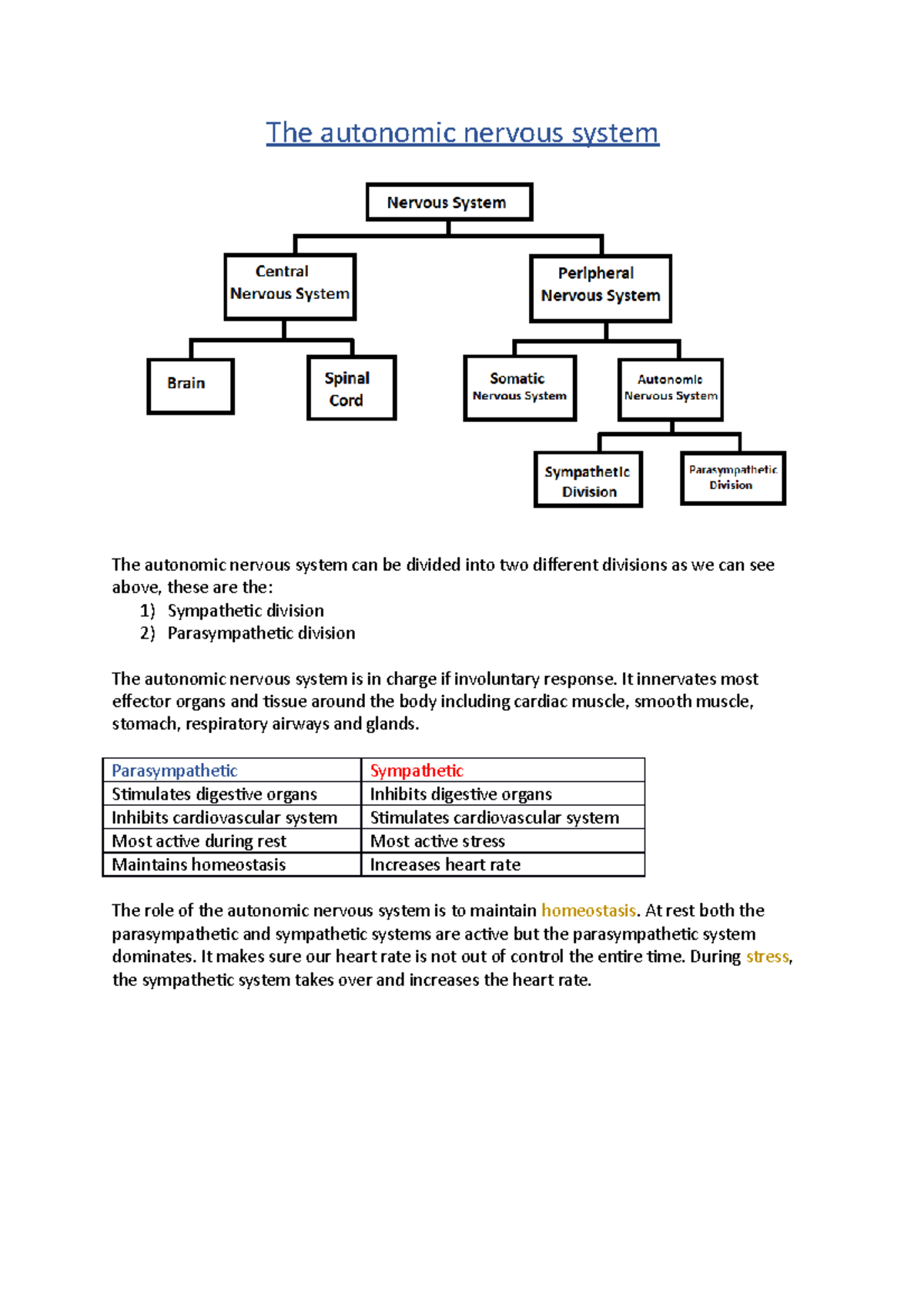 3 and 4 The autonomic nervous system - The autonomic nervous system The ...