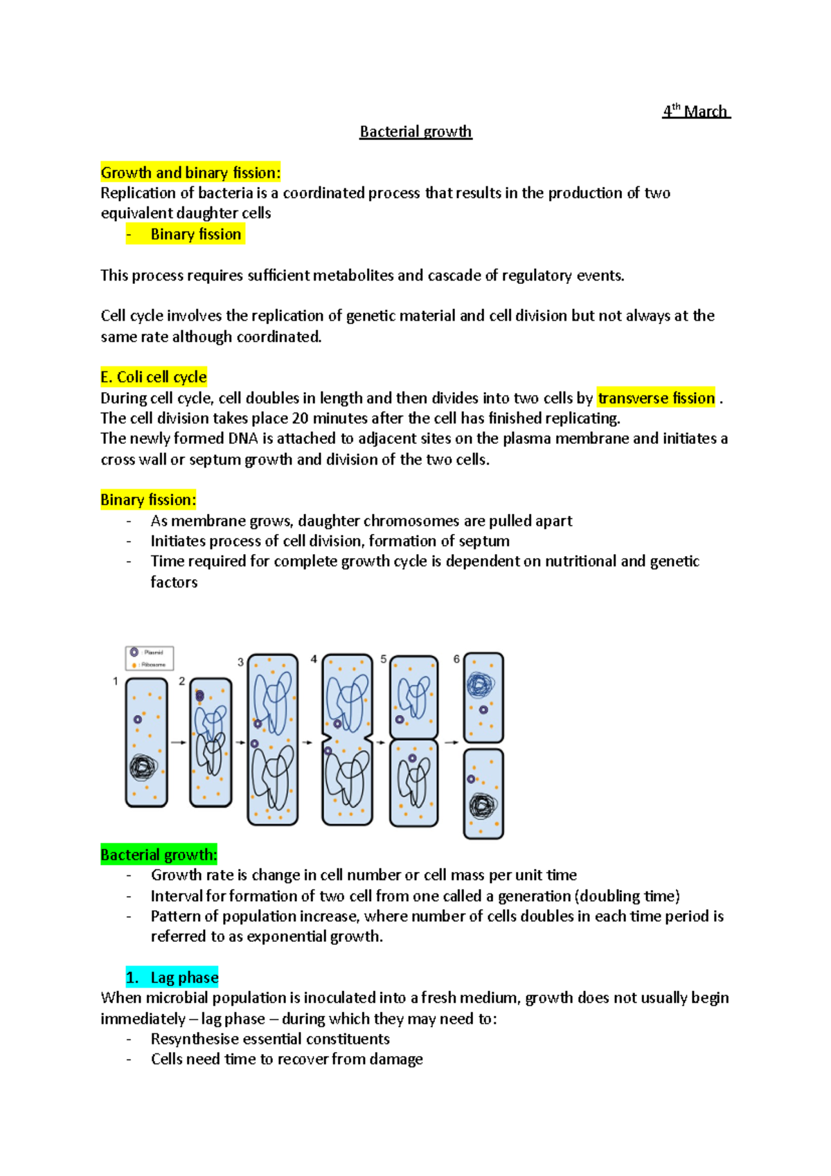 Bacterial growth - 4th March - 4 th March Bacterial growth Growth and ...