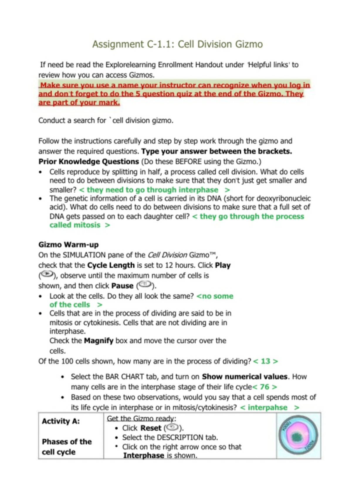 C-1.1 Assignment - Cell Division Gizmo - Karanjot Saini - BIOL 313 ...