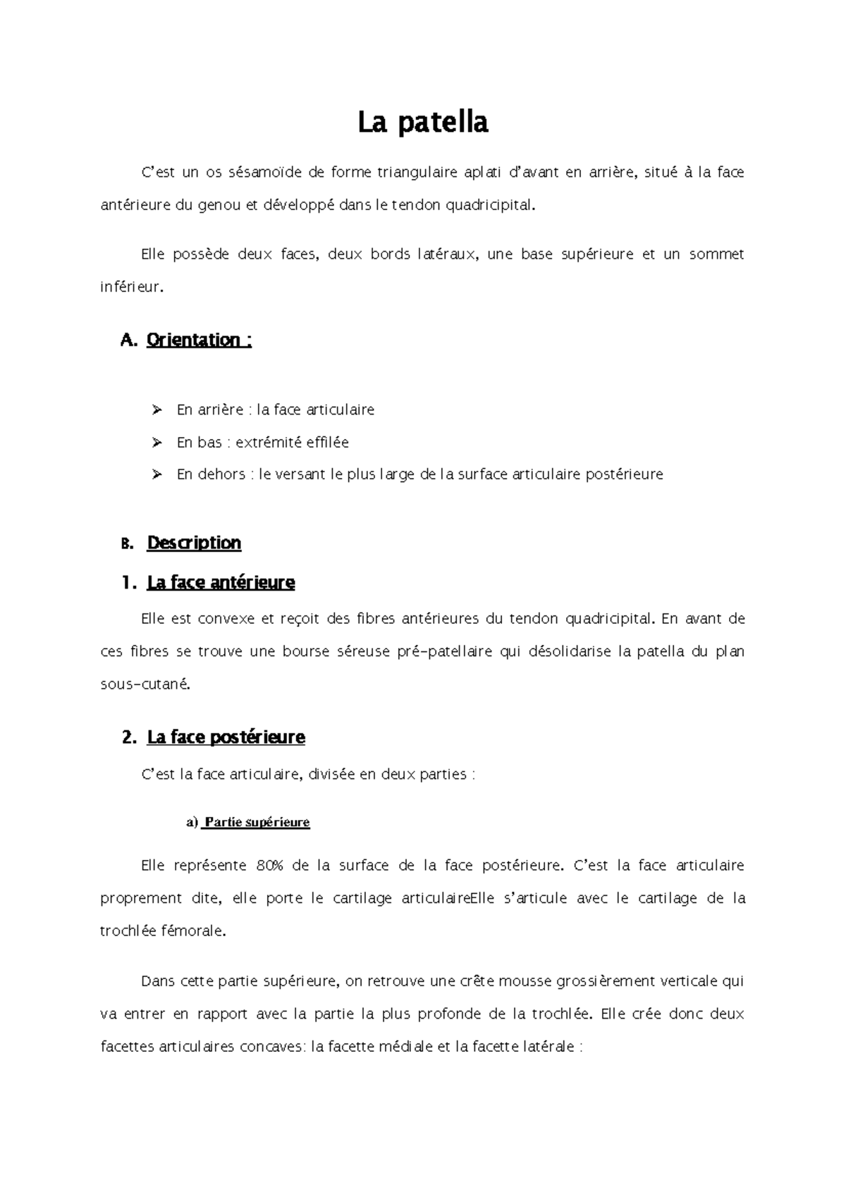 Anatomie de La patella part 2 - La patella C’est un os sésamoïde de ...