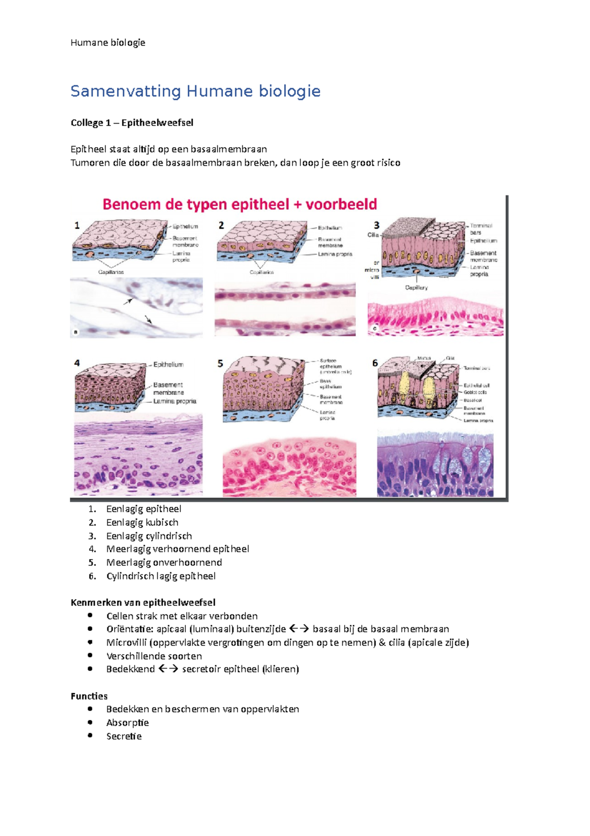 Samenvatting Humane biologie - Samenvatting Humane biologie College 1 ...
