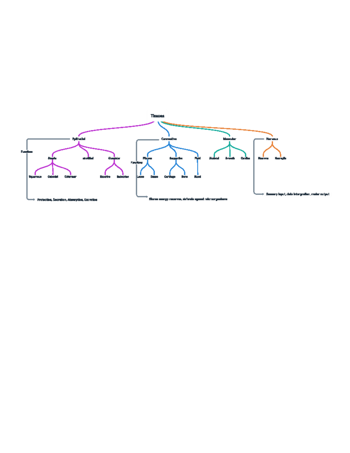 JWT 325 Assignment 1 - JWT 325 - Studocu