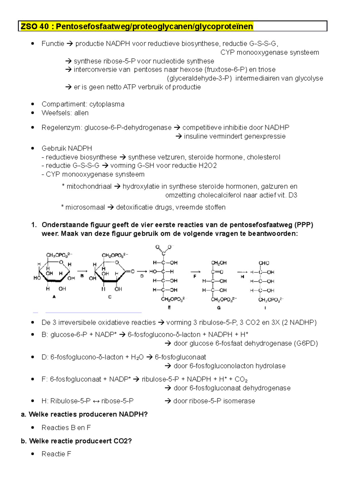 ZSO 40 - ZSO 40 : Pentosefosfaatweg/proteoglycanen/glycoproteïnen ...