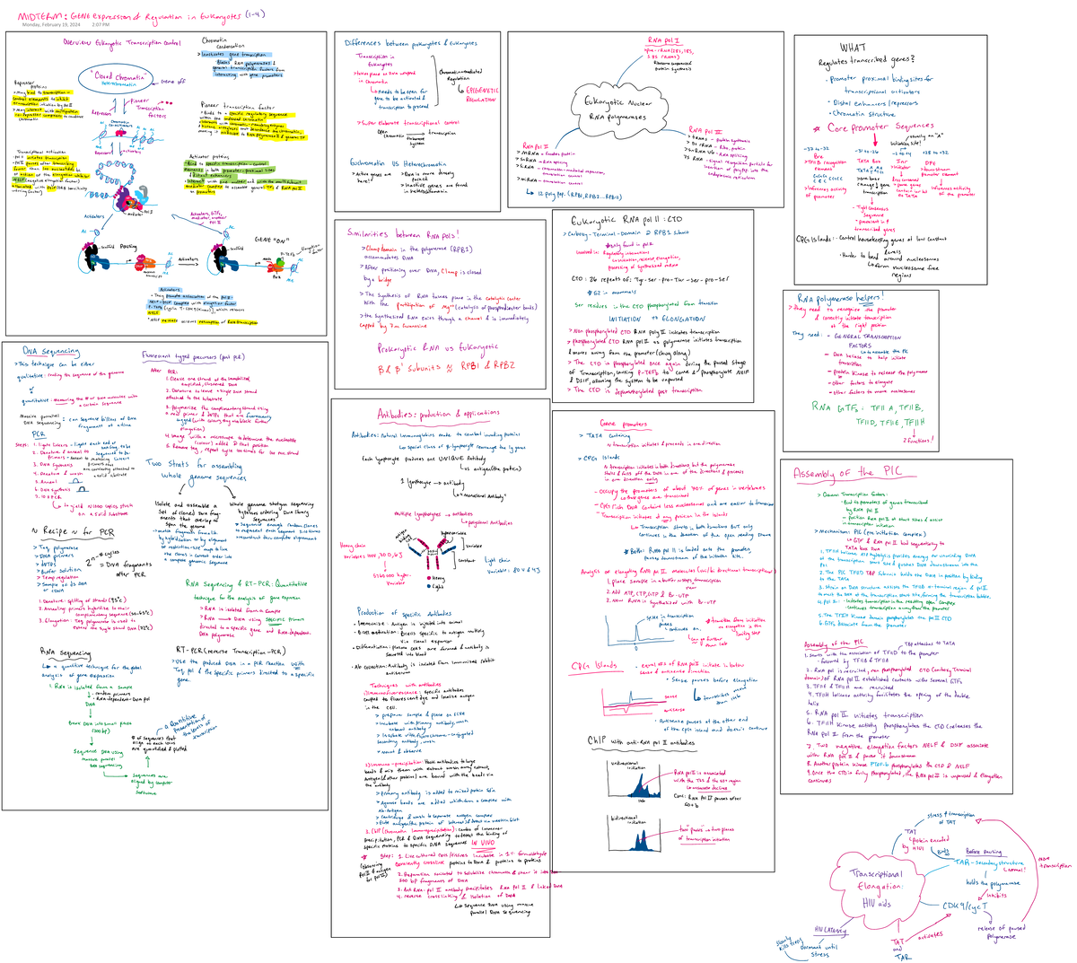 Midterm review (1-4) - MCB 2050 - Monday, February 19, 2024 2:07 PM ...