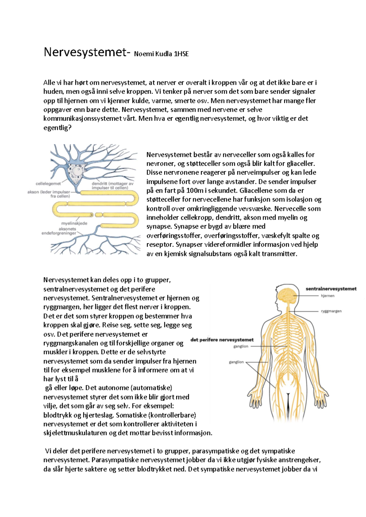 Nervesystemet - nerver - Nervesystemet- Noemi Kudla 1HSE Alle vi har ...