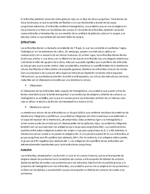 Glúcidos - Ciencias - TEMA 3. GL⁄CIDOS. IntroducciÛn DefiniciÛn y clasificaciÛn DefiniciÛn de gl ...