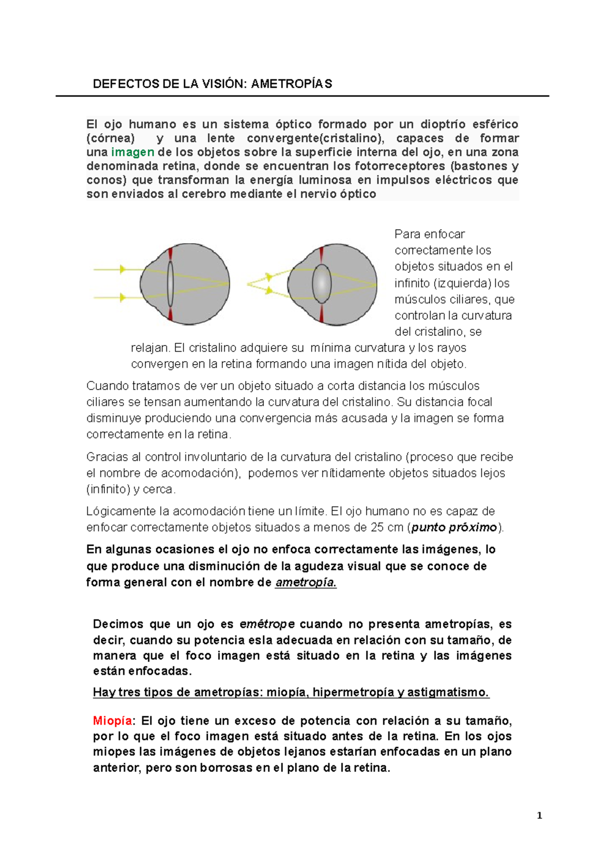 Defectos de la visión - 1 DEFECTOS DE LA VISIÓN: AMETROPÍAS El ojo ...