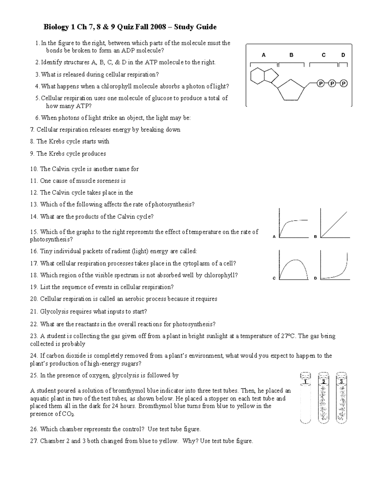 Ch 7,8,9 study guide 08 - Biology 1 Ch 7, 8 & 9 Quiz Fall 2008 – Study ...