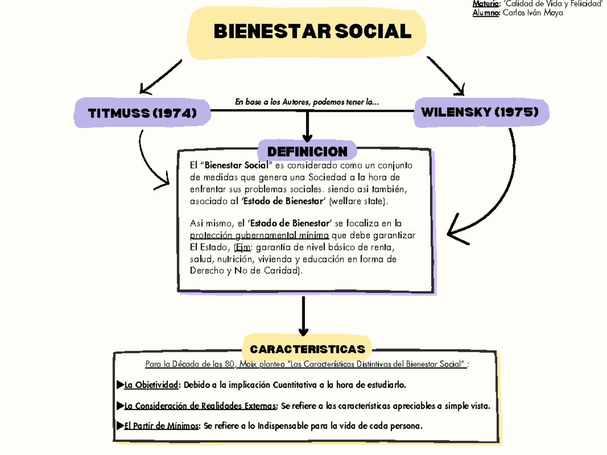 Mapa Conceptual-Bienestar Social - El “Bienestar Social” es considerado ...