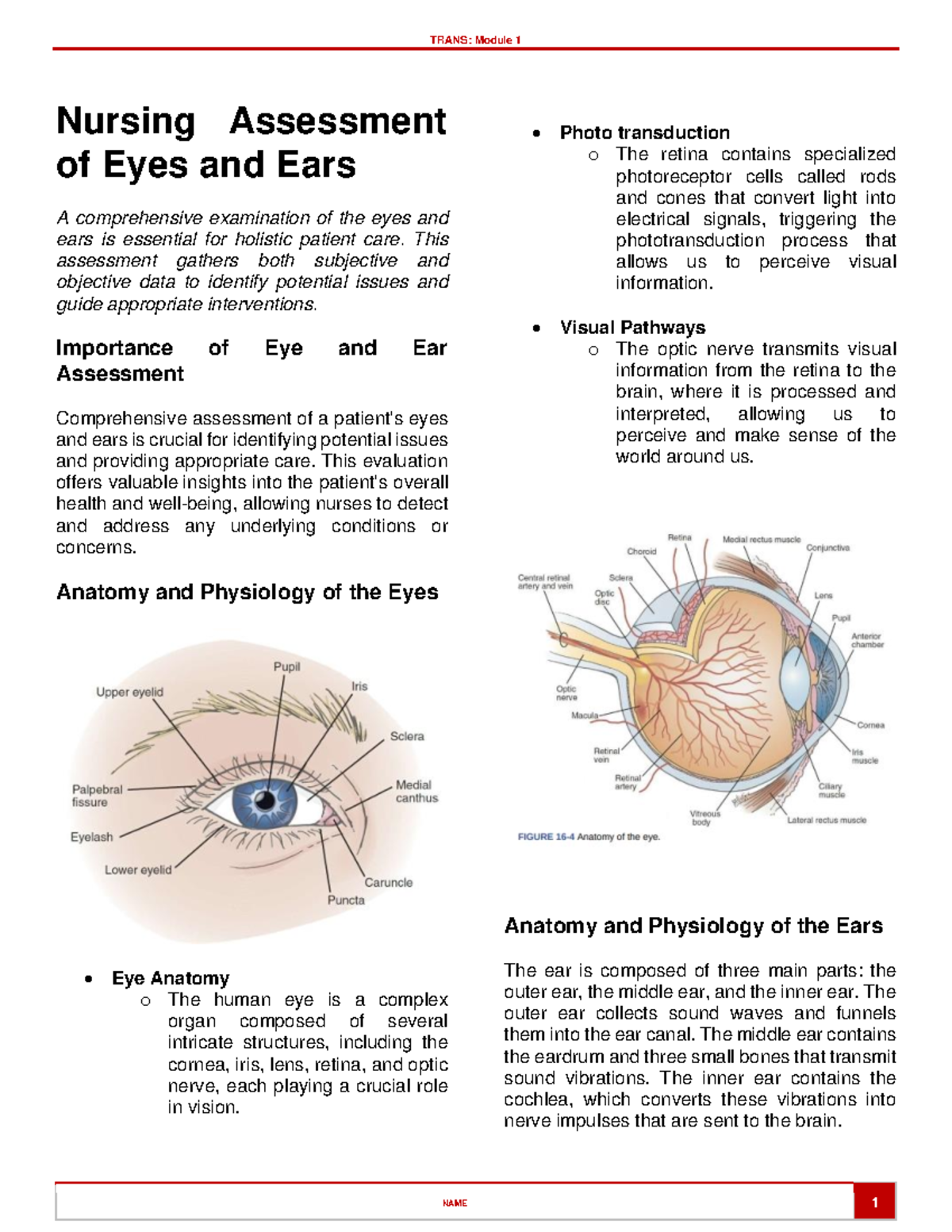Att - fundamentals, summary - Nursing Assessment of Eyes and Ears A ...
