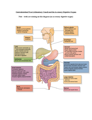 GI Diagnostic Tests (final) - Common Diagnostic Tests for the GI System ...