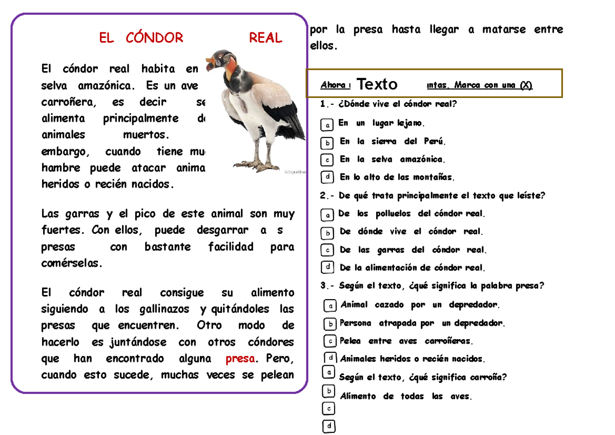 EL Cóndor REAL - EL CONDOR REAL - EL CÓNDOR REAL El cóndor real habita ...