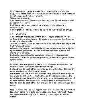 UNIT 1 Forming a Union Colonial and Constitutional Foundations 1607 ...
