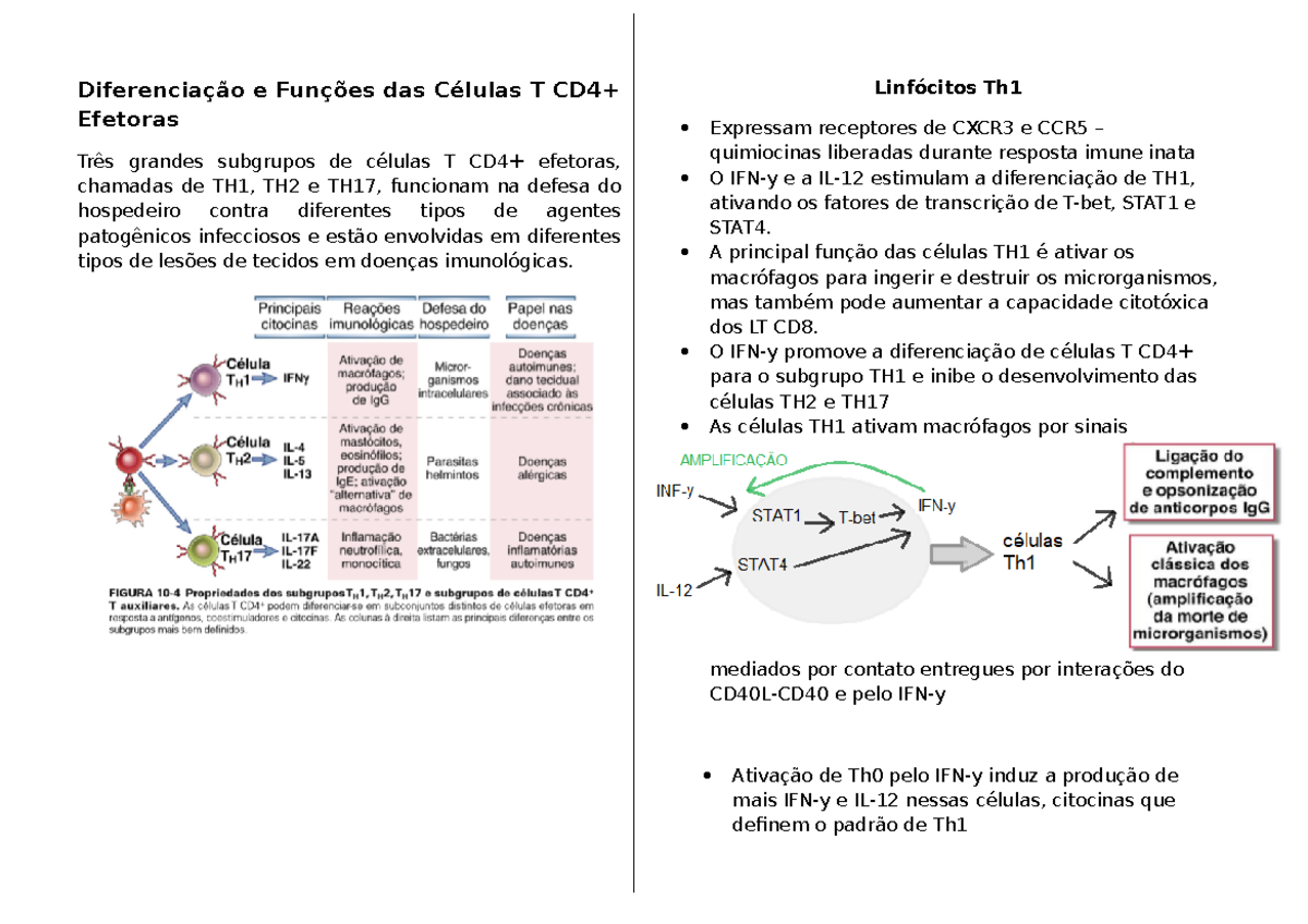 Diferenciação e Funções das Células T CD4 - Diferenciação e Funções das ...