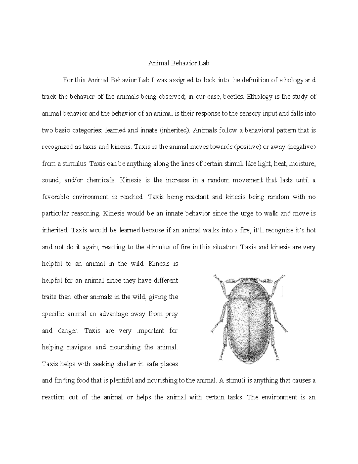 Beetle Lab Report - Animal Behavior Lab For this Animal Behavior Lab I ...