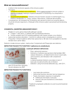 Inflammation - Inflammation latin- ignite/ set alight Nomenclature: the ...