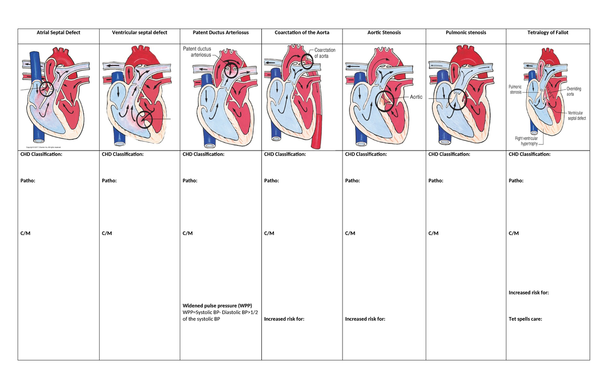 Congential heart defects table 1 - Atrial Septal Defect Ventricular ...