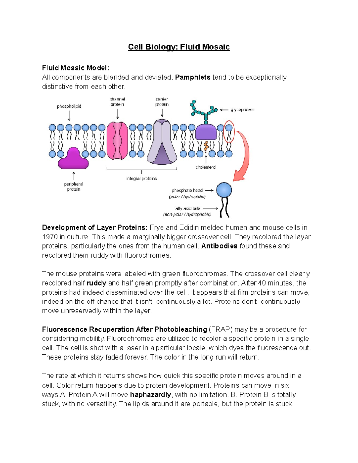 Cell Biology Fluid Mosaic - Cell Biology: Fluid Mosaic Fluid Mosaic ...