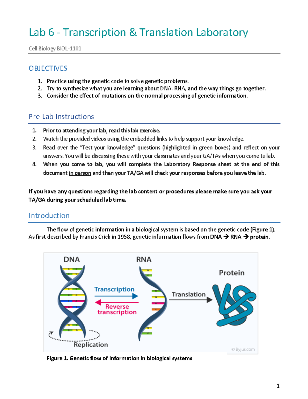 Lab 6 - Transcription-Translation-2022 - Lab 6 - Transcription ...
