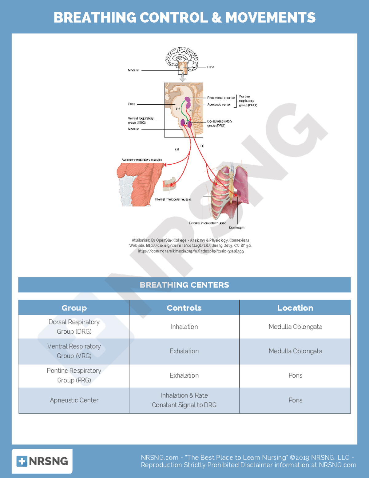 Cs-resp-025-breathing control movements - BREATHING CONTROL & MOVEMENTS ...