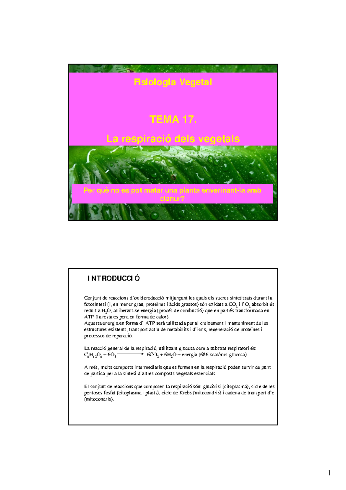 Apuntes fisiología vegetal Tema 1 al 30. - Fisiología Vegetal - UIB ...