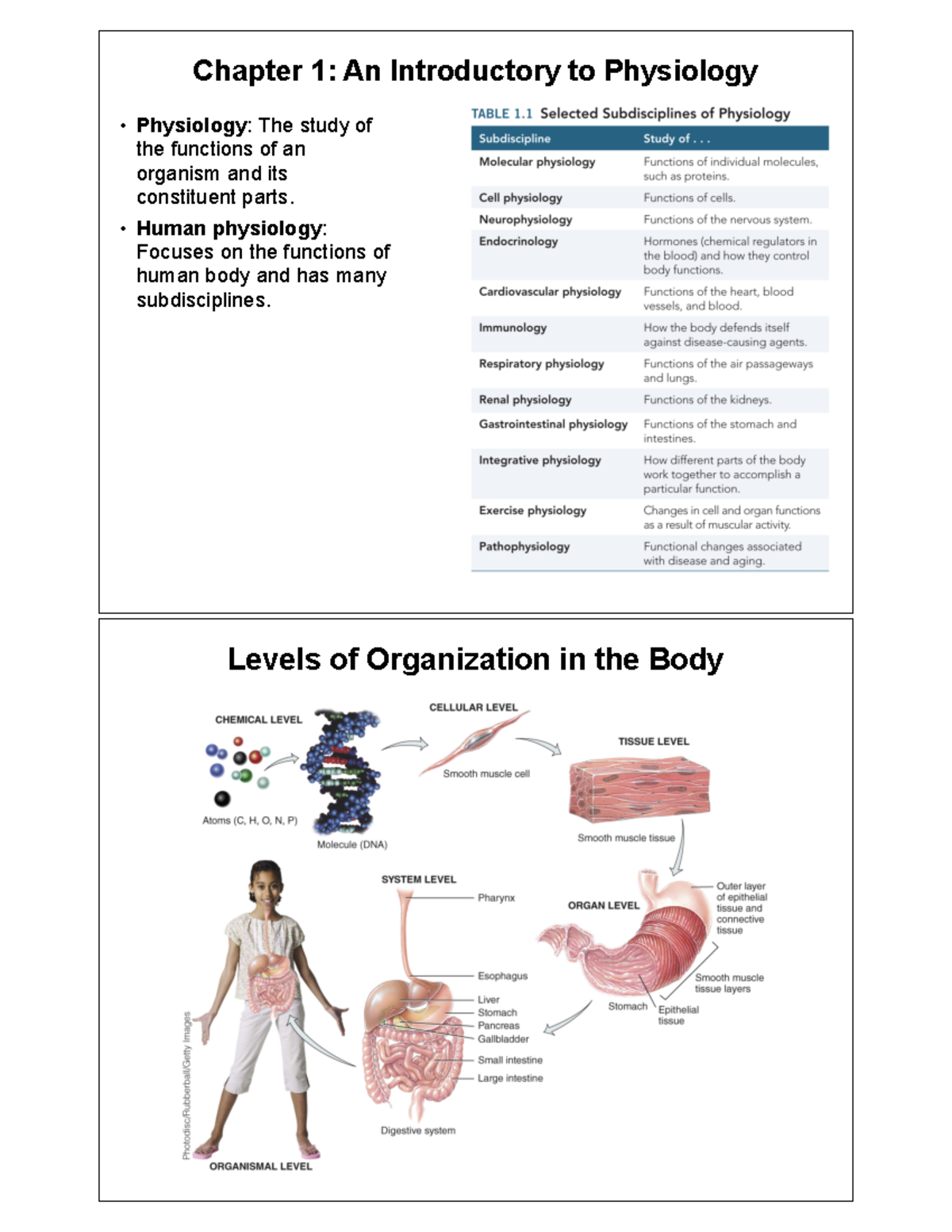 Ch01. Introduction - notes - Chapter 1: An Introductory to Physiology ...