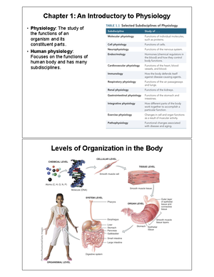 Ch02. Chemistry - notes - Chapter 2: Chemical Composition of the Body ...