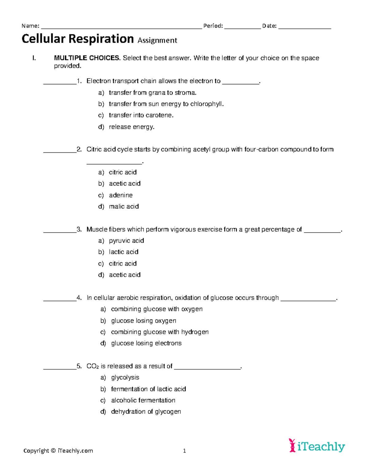 5 7 Assignment SE Cellular Respiration - Name