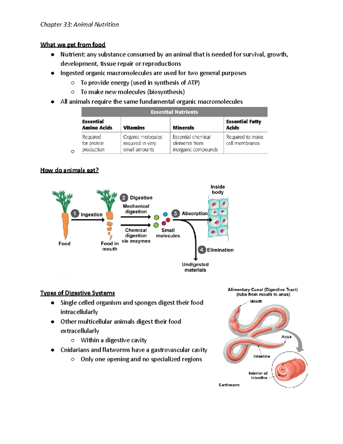 Bio 133 Voice Thread Week 2 Lecture 1 - Chapter 33: Animal Nutrition ...