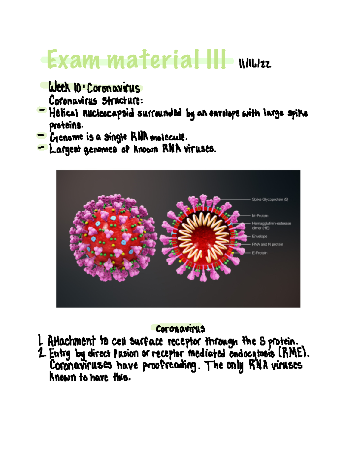 Exam lll - Bio exam and quiz notes - 11116122 Week10 coronavirus ...