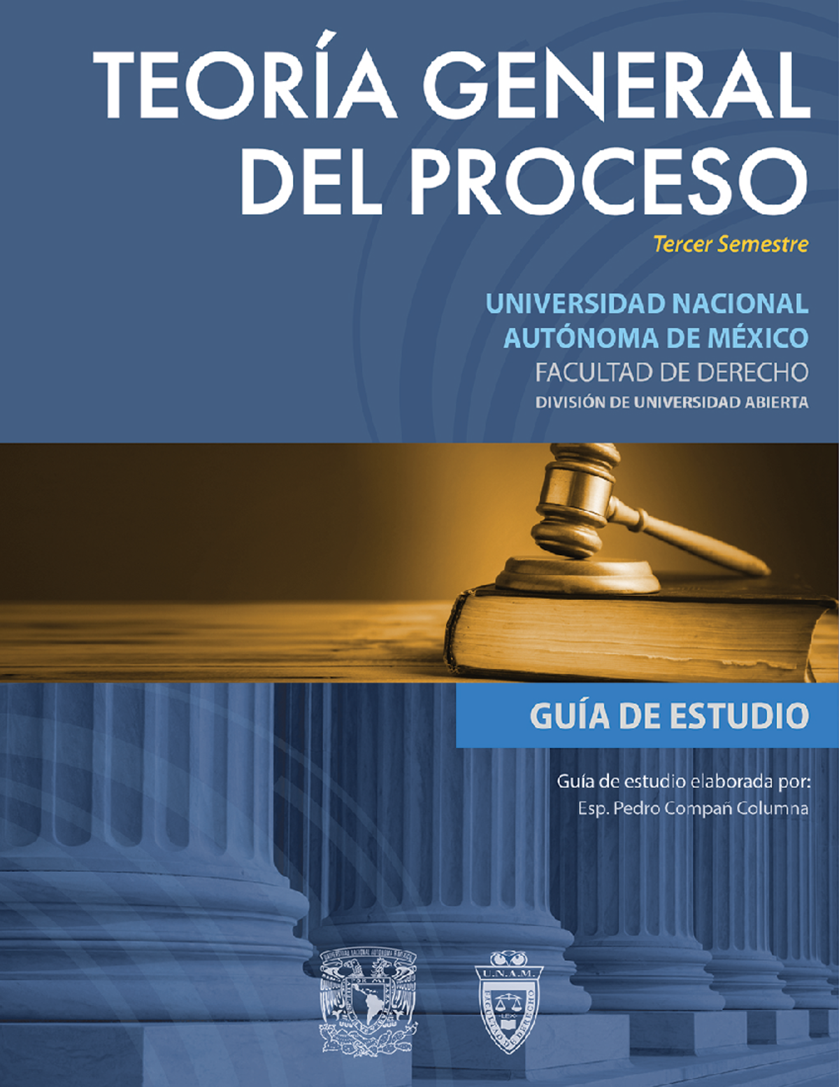 Guia Teoria General Proceso - Guía de estudio para la asignatura Teoría General del Proceso ...