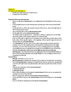 Chapter 29 - anatomy - Chapter 29: Vital Signs Test Bank MULTIPLE ...