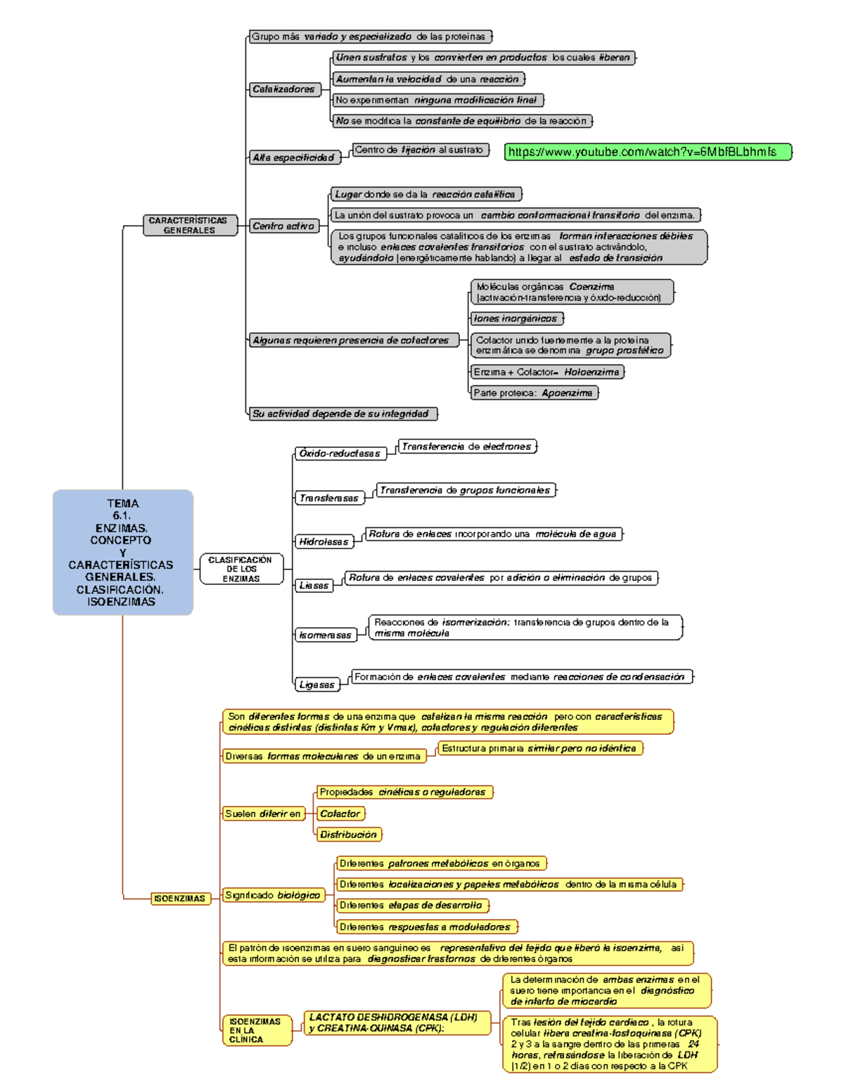 TEMA 6.1. Enzimas. Concepto Y Características Generales. Clasificación ...
