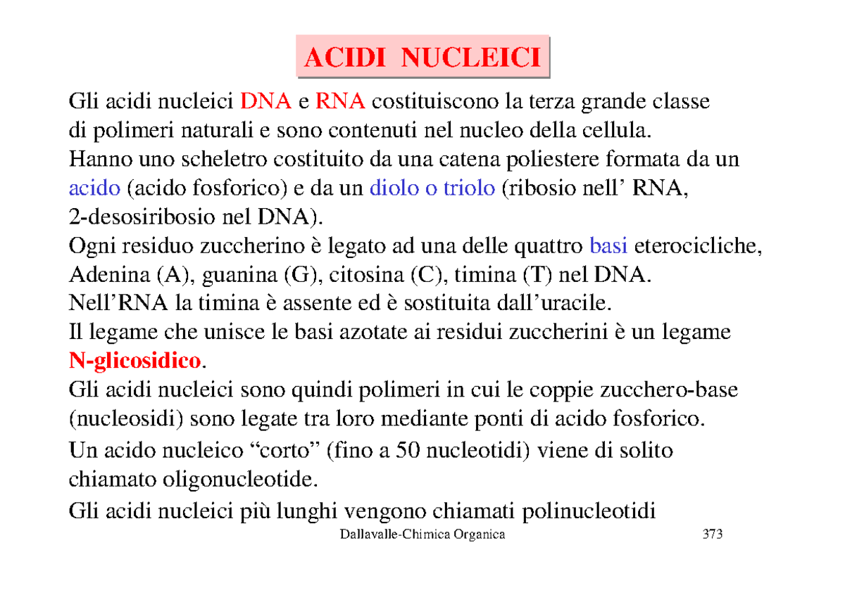 Esempi Di Acidi Nucleici