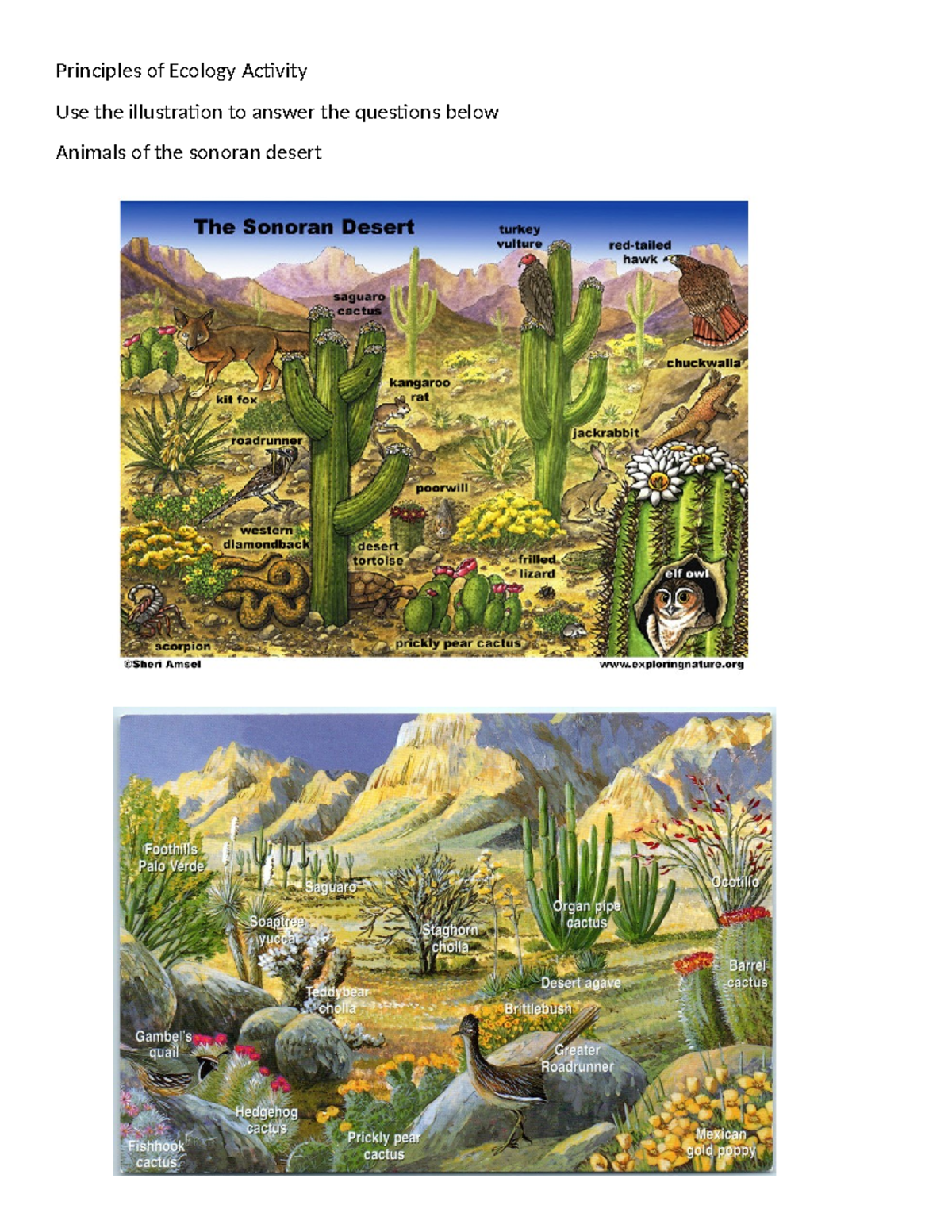 Principles of Ecology Activity - Identify 5 abiotic factors that would ...