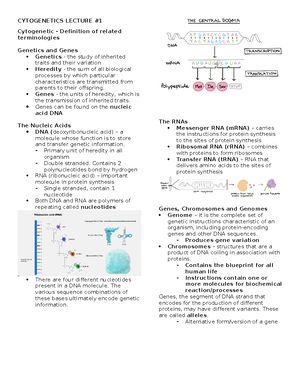 Cytogenetics-1 - lecture notes - CYTOGENETICS REVIEW OF RELATED ...