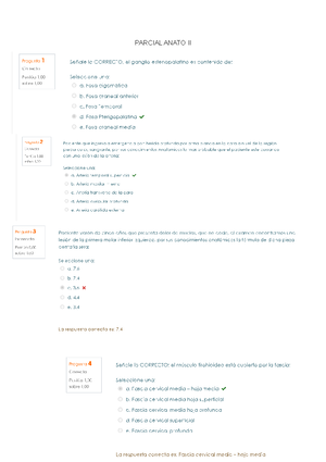 09 NUCA Y Region Dorsal - NUCA Y REGION DORSAL La región dorsal es ...