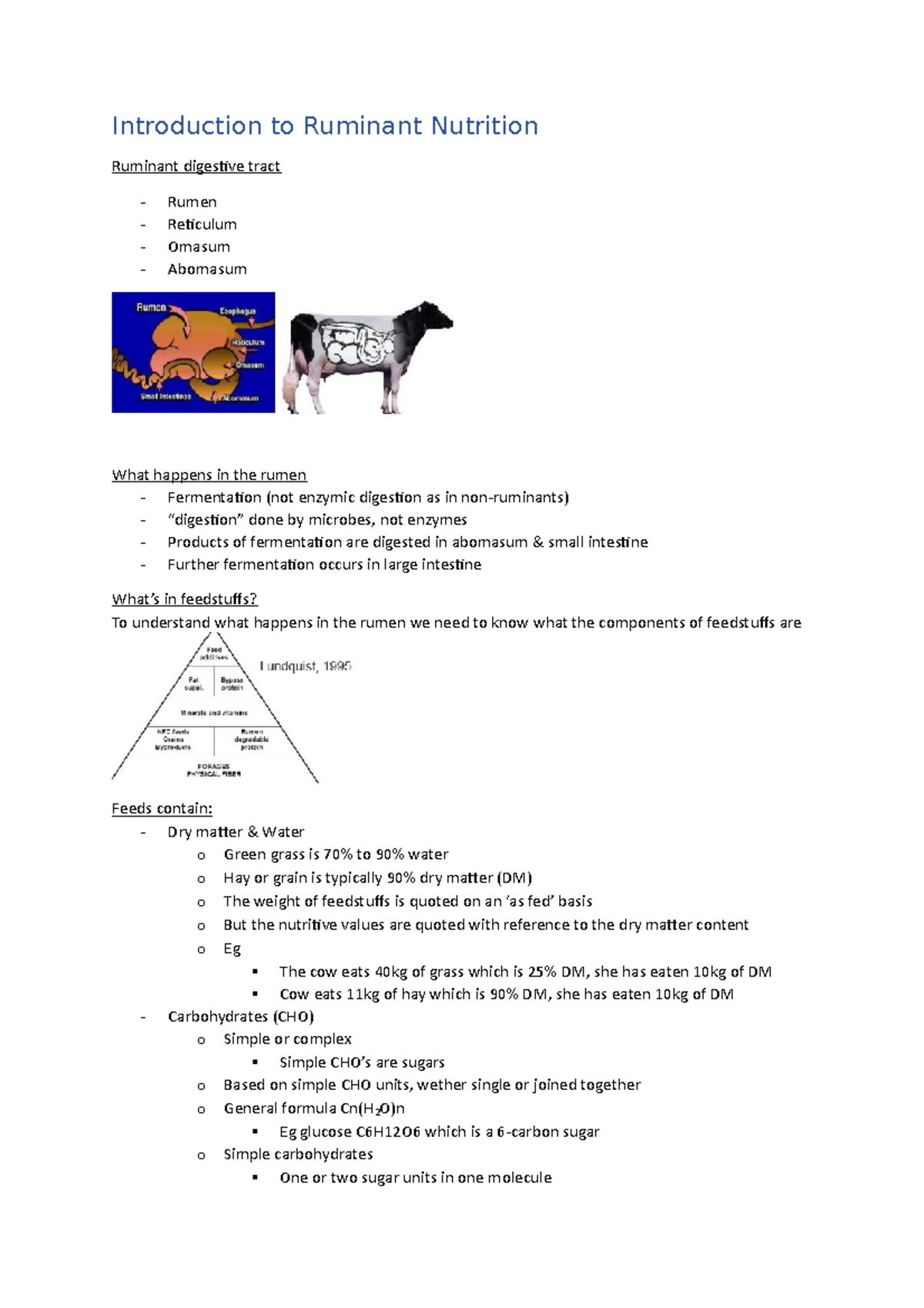 VSC110 Ruminant Nutrition - Introduction to Ruminant Nutrition Ruminant ...