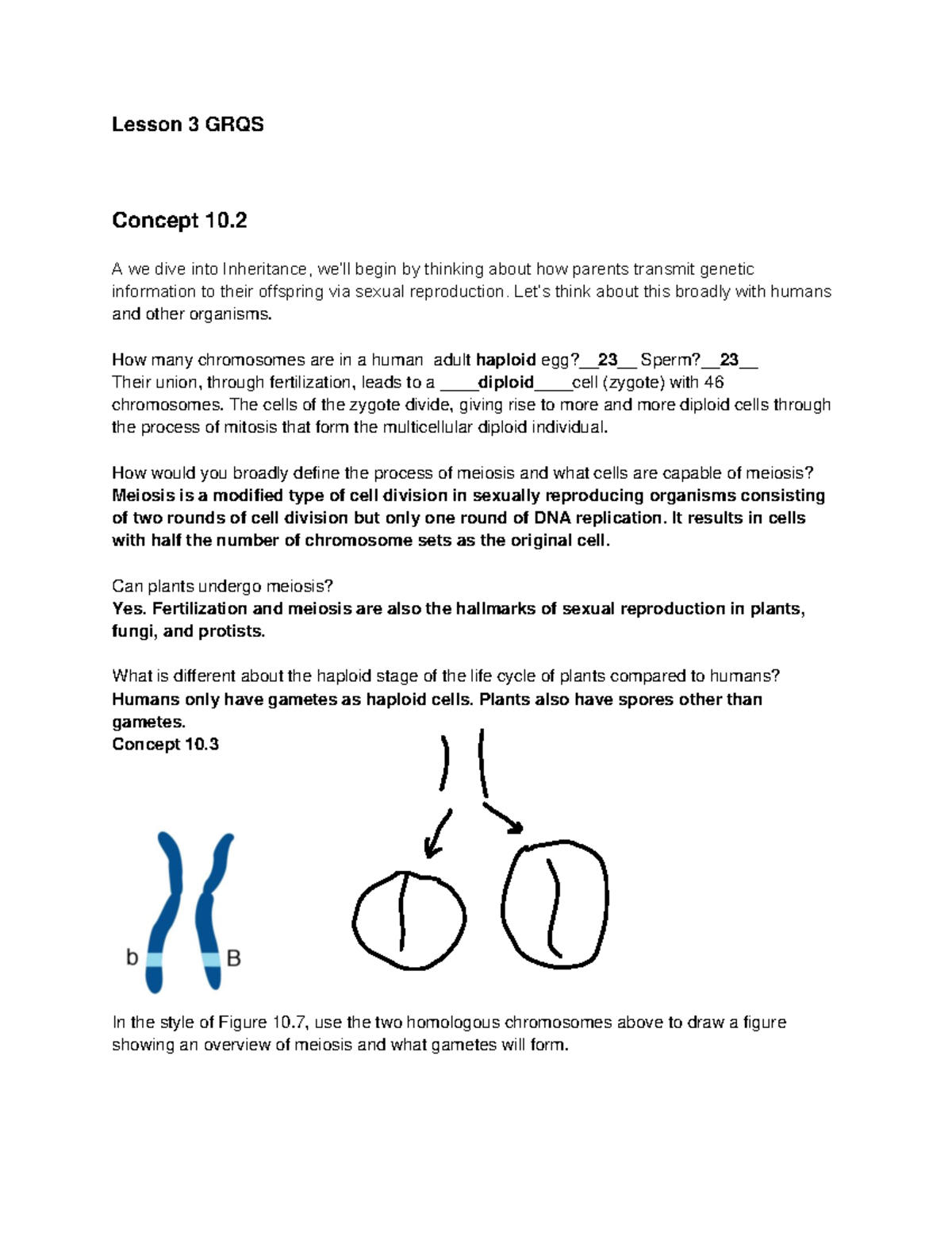 L3 GRQs - GRQ Question - Lesson 3 GRQS Concept 10. A we dive into ...