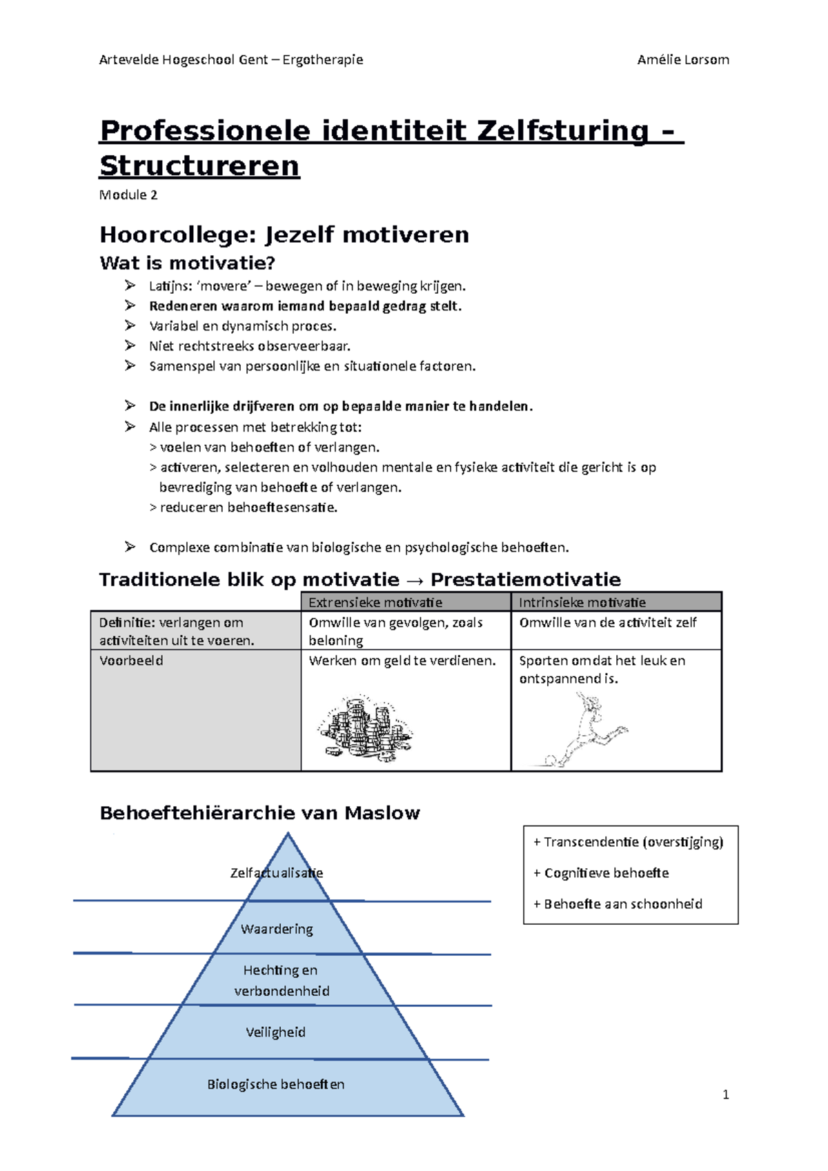 Zelfsturing-Structureren - Professionele identiteit Zelfsturing ...