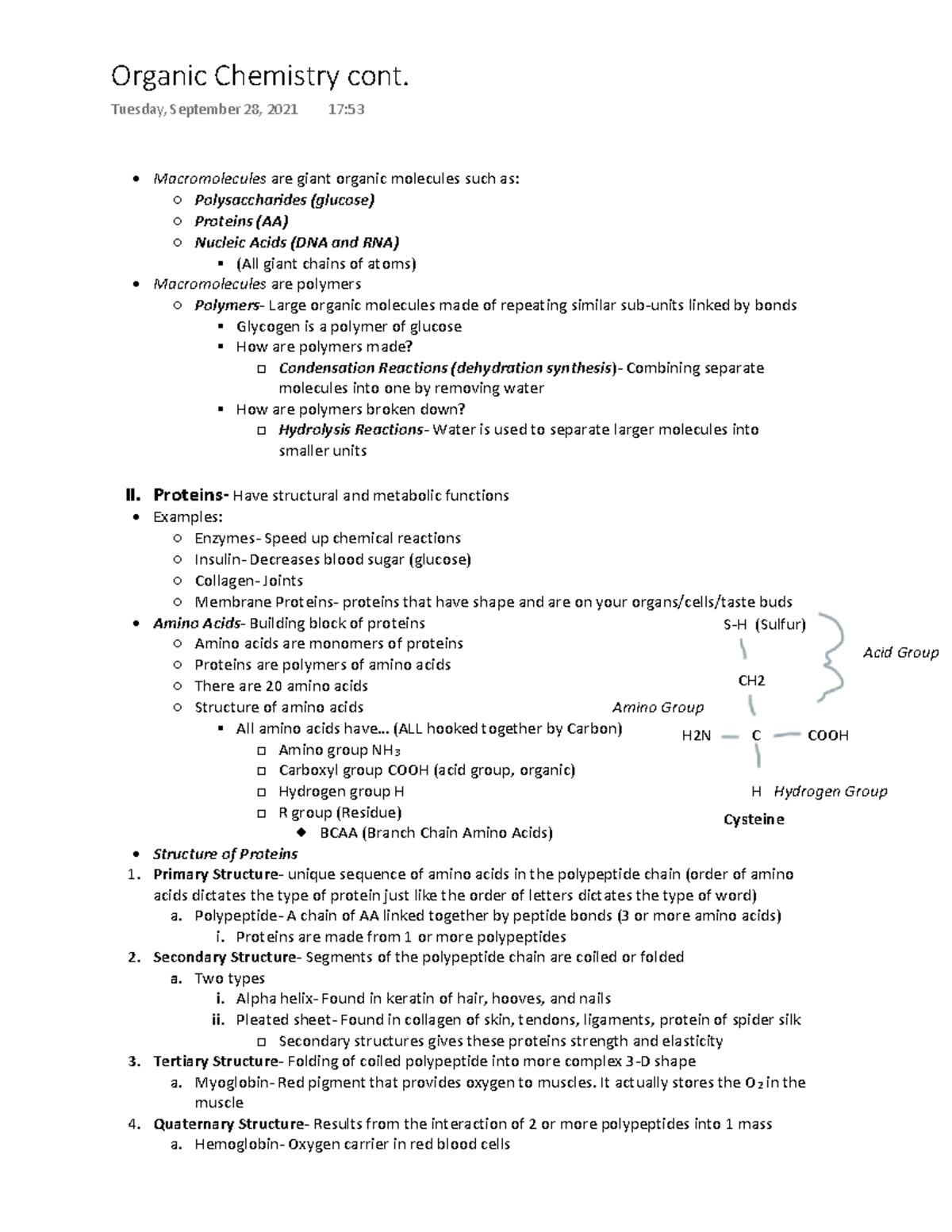 Biology Organic Chemistry Cont - DĂĐƌŽŵŽůĞĐƵůĞƐĂƌĞ ŐŝĂŶƚ ŽƌŐĂŶŝĐ ...
