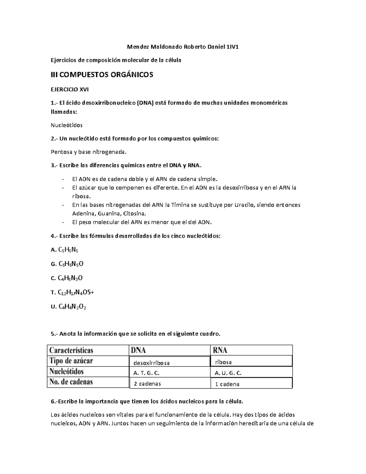 Ejercicios de composicion molecular - El ·cido desoxirribonucleico (DNA ...