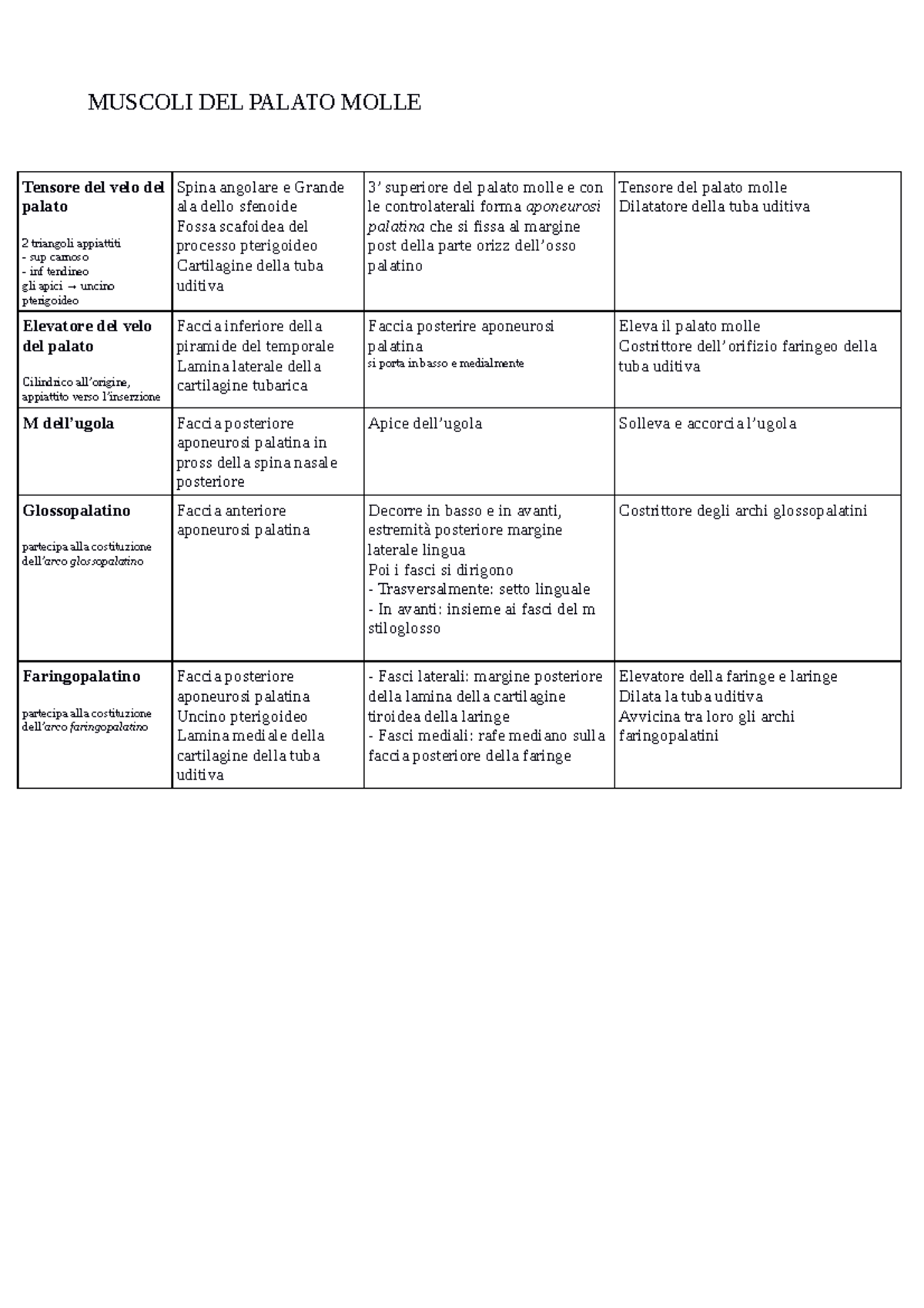 Schema muscoli docx - MUSCOLI DEL PALATO MOLLE Tensore del velo del ...
