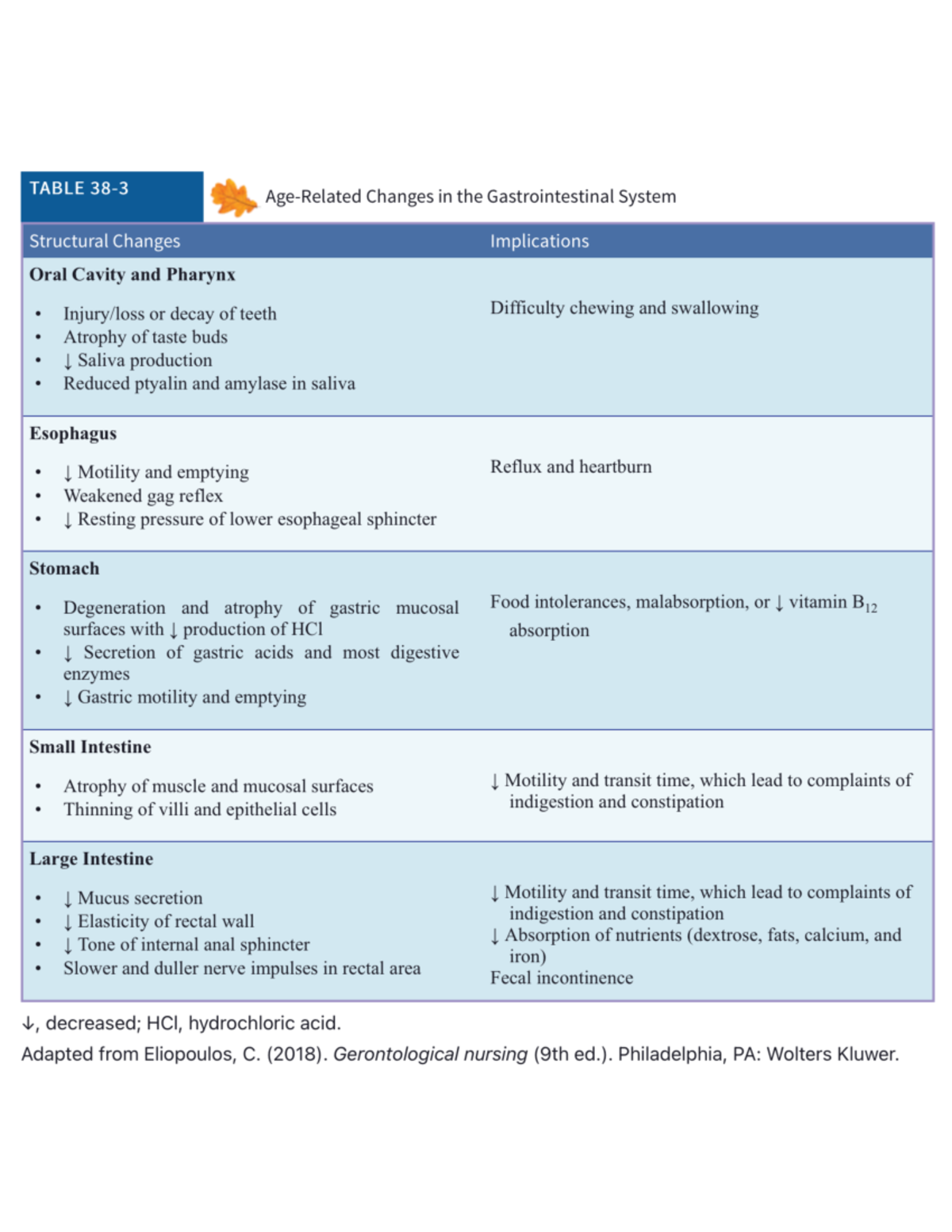 3130 EXAM 3 UP GI - Out line of power points added charts, graphs and ...