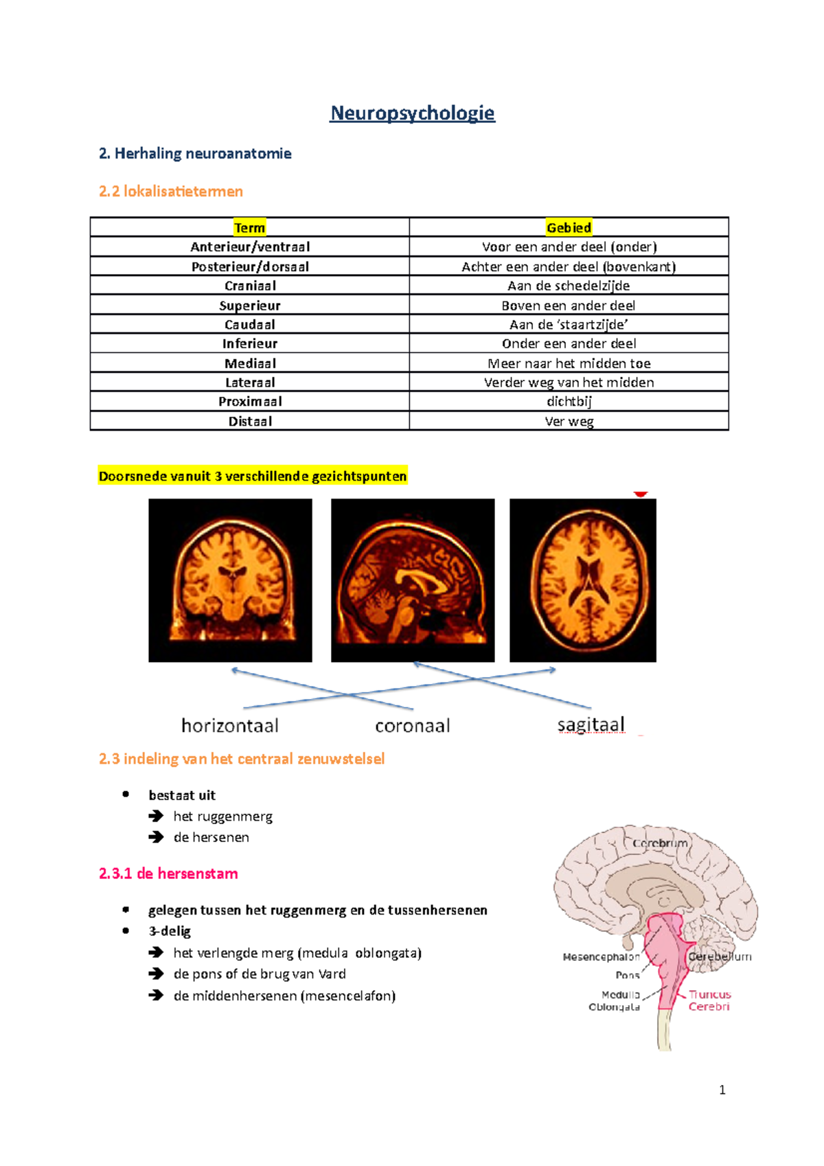 Neuropsychologie - Herhaling neuroanatomie 2 lokalisatietermen Term ...